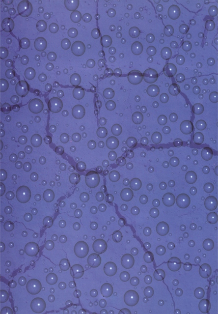 Номера журнала Скепсис